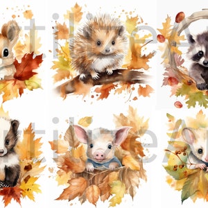 Watercolor Fall Baby Animals Clipart - Autumn Png - Instant Download ...