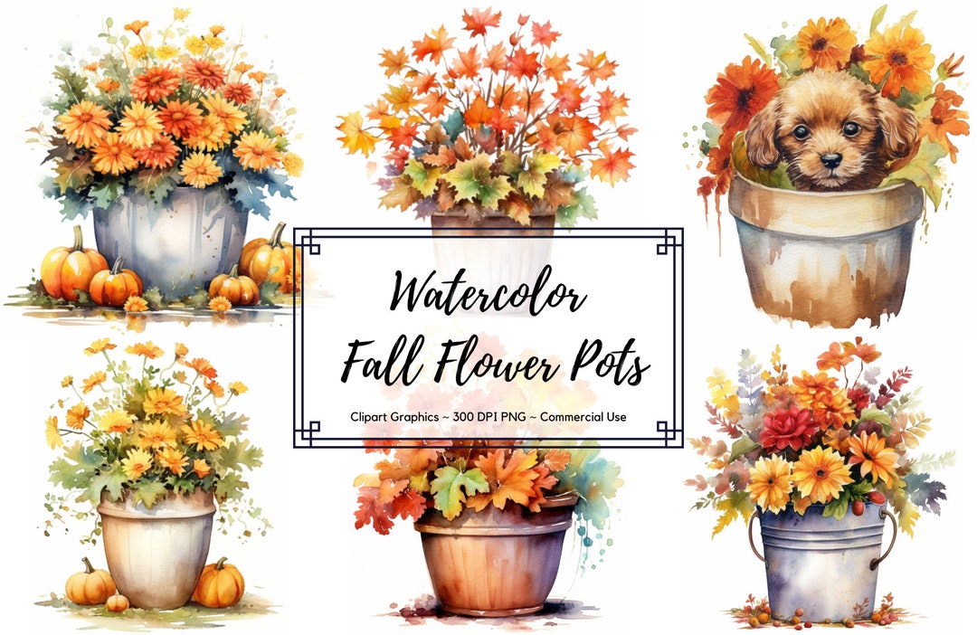 Watercolor Fall Flower Pots Clipart Autumn Png Instant Download ...