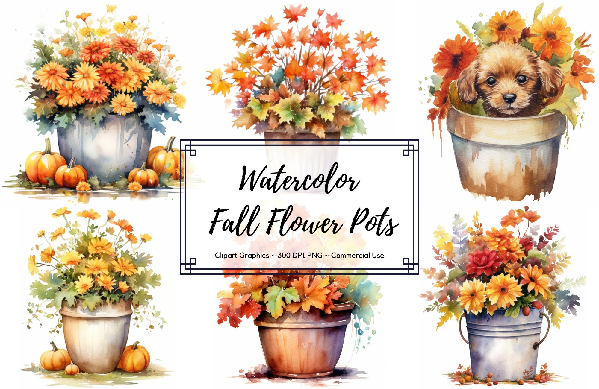 Watercolor Fall Flower Pots Clipart - Autumn Png - Instant Download ...