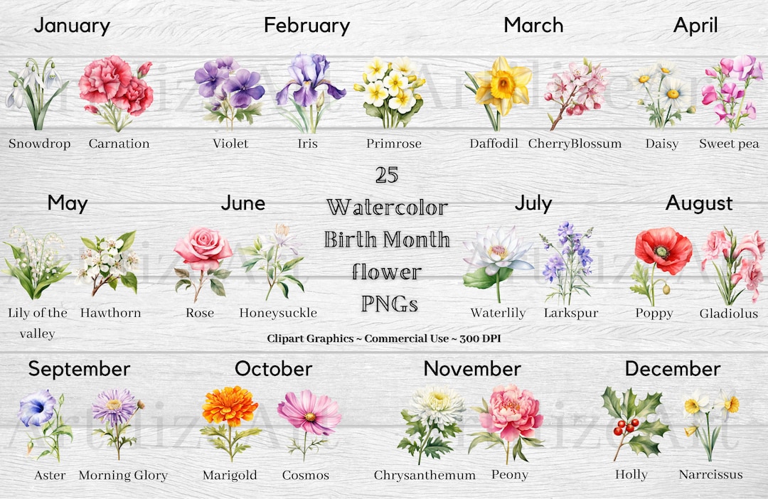Watercolor Birth Month Flowers Clipart - Floral PNG Bundle - Instant ...