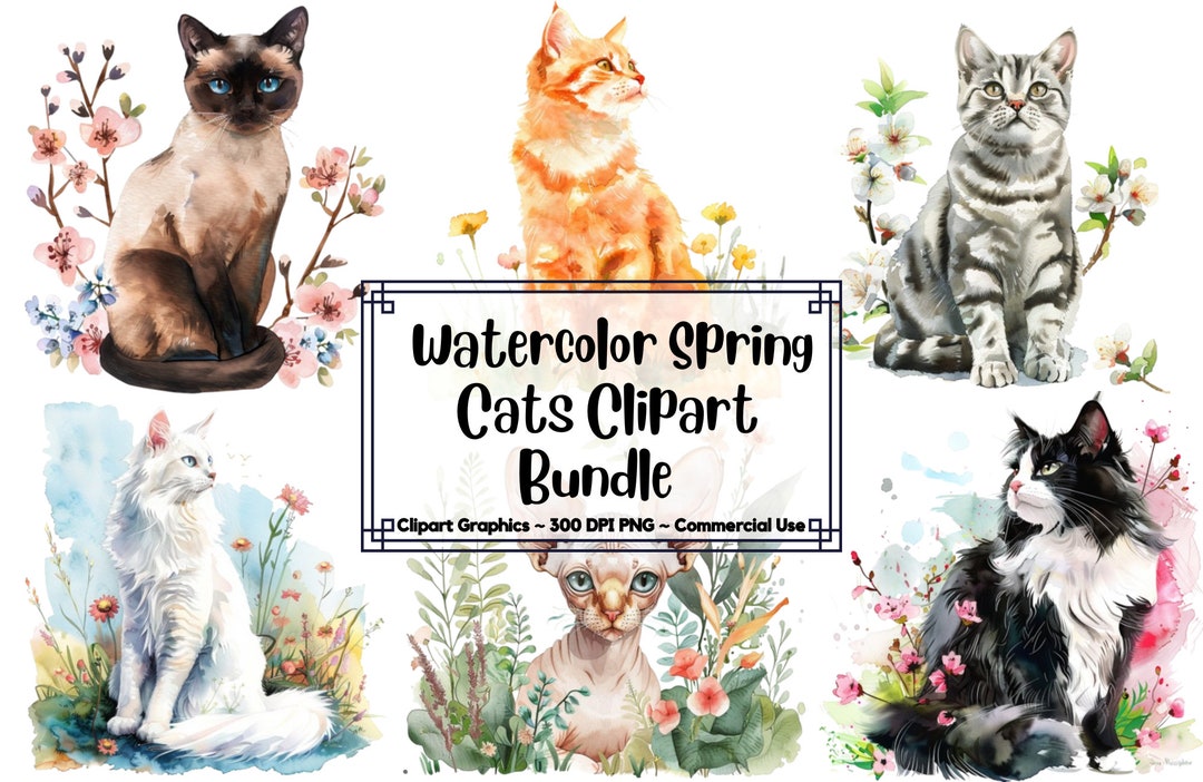 Watercolor Spring Cats Clipart Bundle - Cats Spring Png - Instant ...