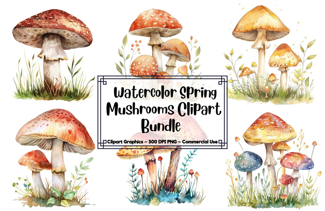Watercolor Spring Mushrooms Clipart - Spring Watercolor PNG Format ...