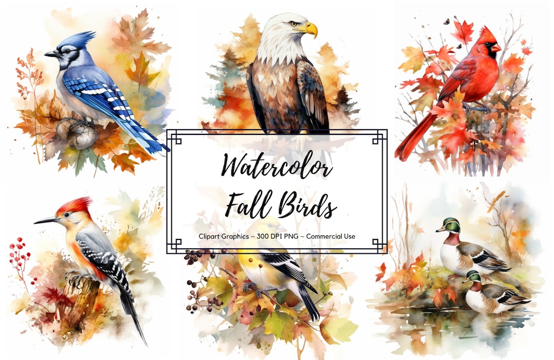 Watercolor Fall Bird Clipart - Autumn Bird Png Bundle - Instant ...
