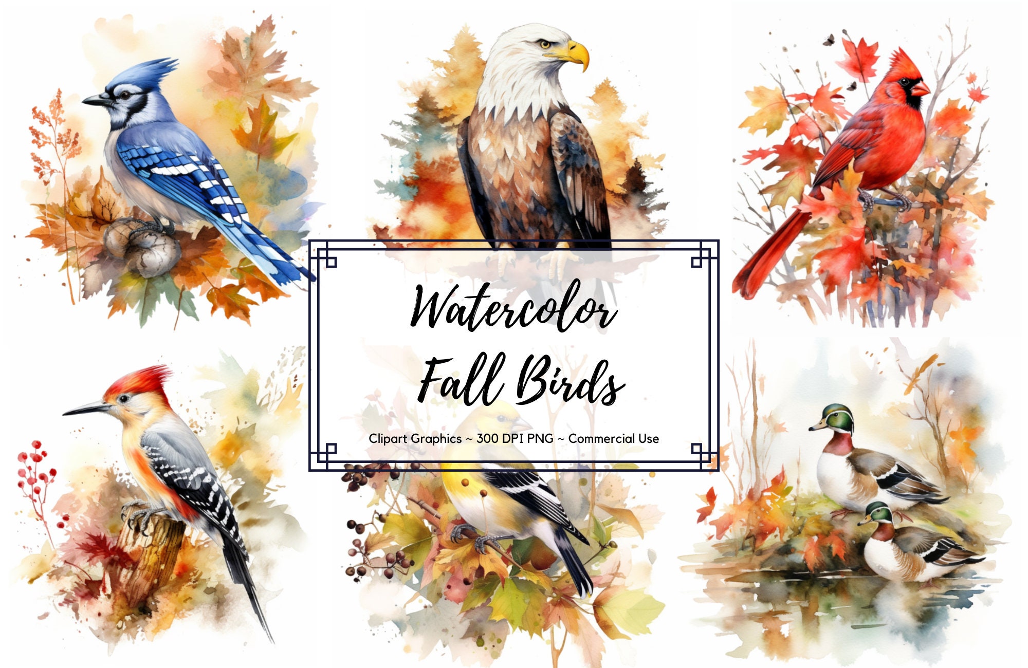 Watercolor Fall Bird Clipart - Autumn Bird Png Bundle - Instant ...