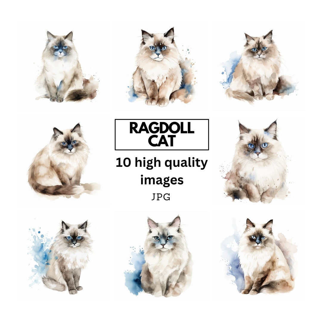 Ragdoll Clipart Cat Clipart 10 High Quality Jpgs Paper Crafting Card ...