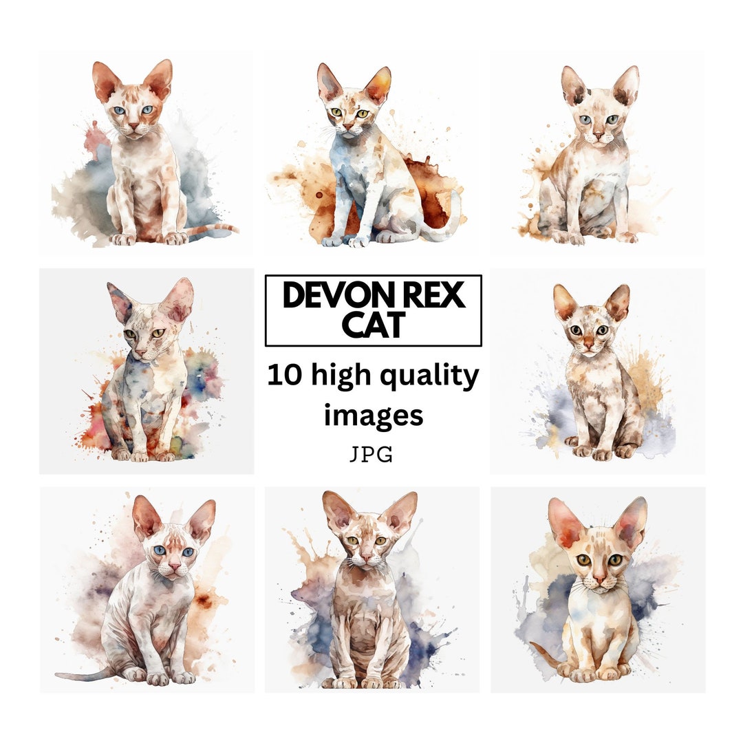 Devon Rex Clipart Cat Clipart 10 High Quality Jpgs Paper Crafting Card ...