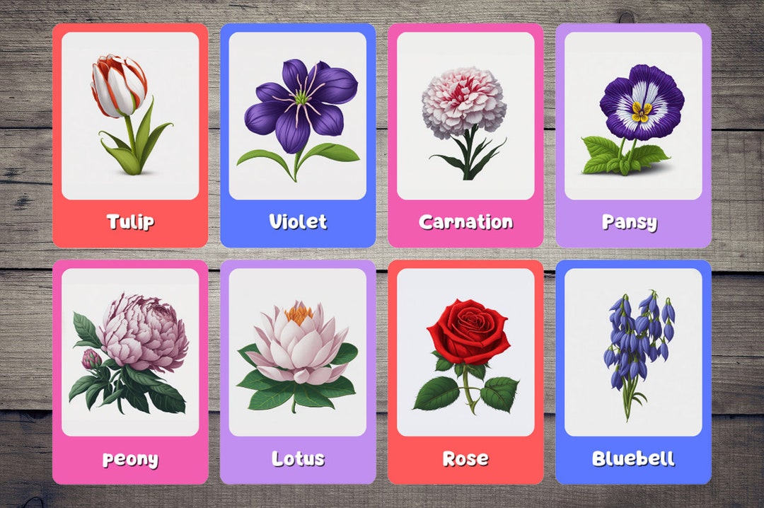 Flowers Flashcards Cartoon Style Printable Montessori Cards - Etsy