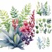 Plant Clipart Bundle #3, Watercolor Clipart, Floral Clipart, Wedding ...