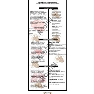 Bedside Head to Toe Assessment for Nursing Students - Etsy