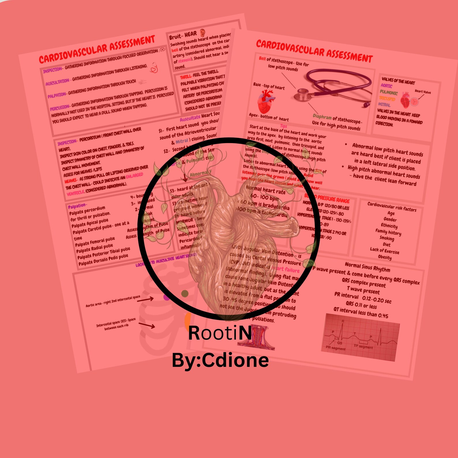 Cardiovascular Assessment Guide - Etsy