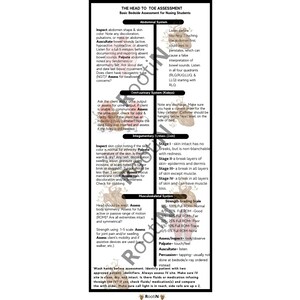 Bedside Head to Toe Assessment for Nursing Students - Etsy