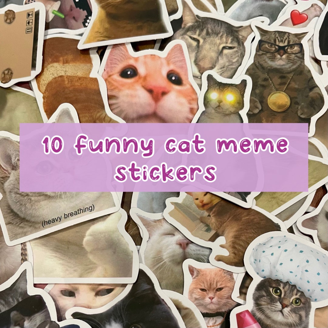 10 PCS Funny Cat Meme Stickers / Scrapbooking / Diary / Journal Deco ...