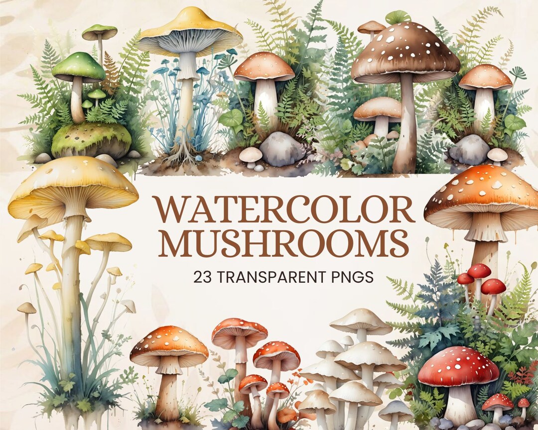 Watercolor Mushroom Clipart, Cute Forest Toadstool PNG, Instant ...
