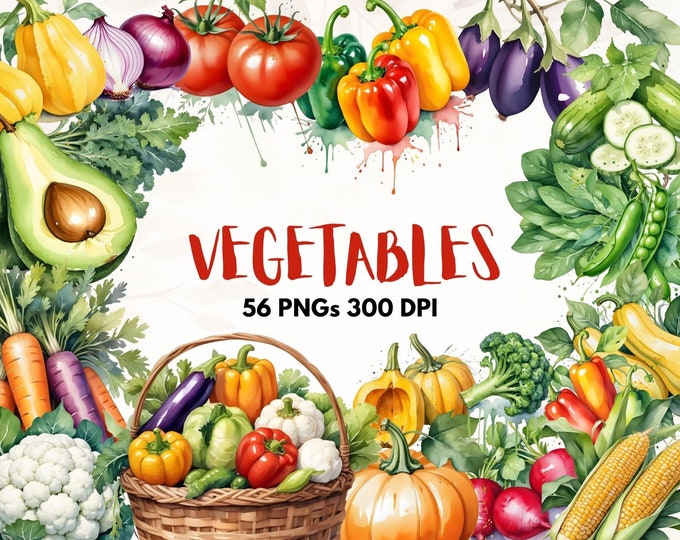 45 Watercolor Vegetables PNG Clipart Bundle, Tomato, Carrot, Corn ...