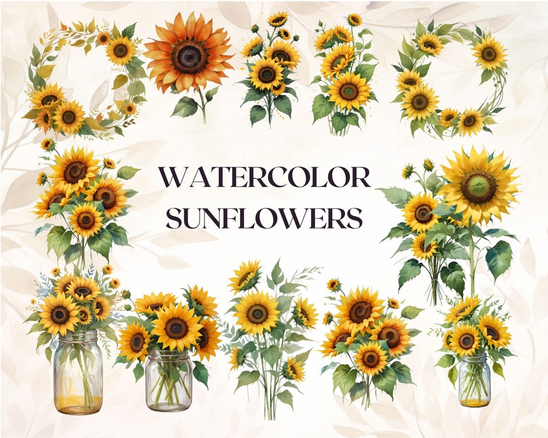 Watercolor Sunflower Clipart | Fall Floral PNG, Commercial Use (instant ...