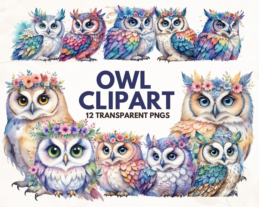 Colorful Owl Clipart Bundle, Sparkling Owl PNG (digital Download) - Etsy