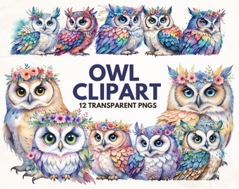 Owl Clipart Bundle, Owl Png, Floral Owl Png, Sparkling Owl Sublimation ...