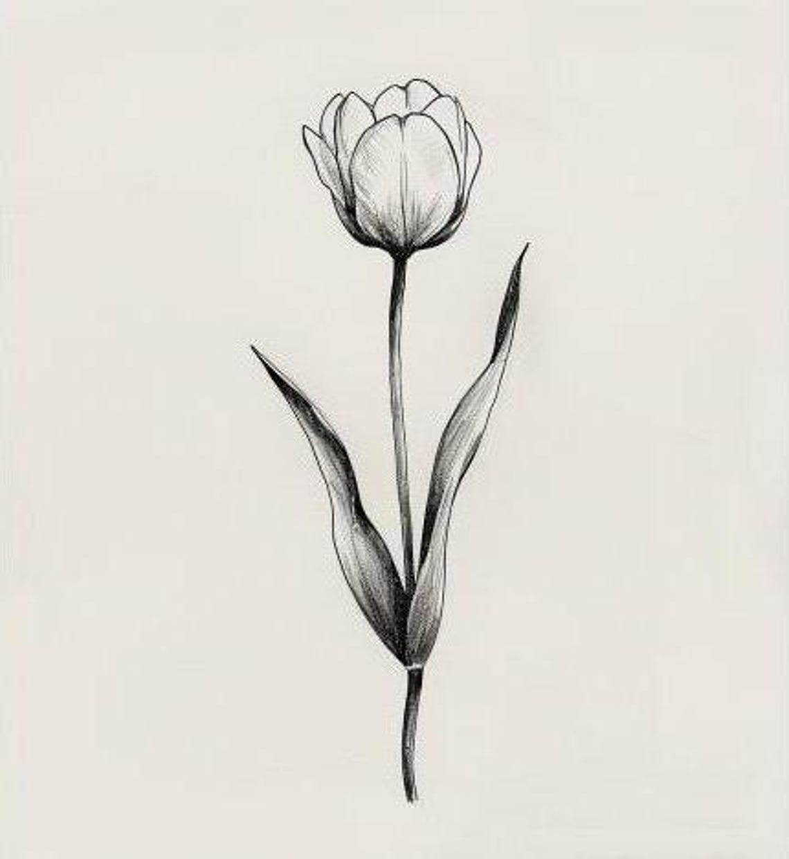 Simplistic Tulip Sketch Art | Minimalist Floral Drawing | Wall Art ...