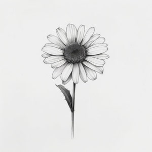 Simplistic Daisy Sketch Art | Minimalist Floral Drawing | Wall Art ...