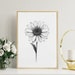 Simplistic Daisy Sketch Art | Minimalist Floral Drawing | Wall Art ...