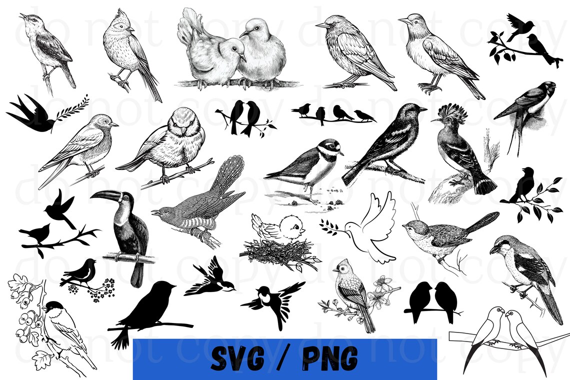 Bird Svg Bundle, Flying Bird Svg Bundle, Birds Png, Love Birds Svg ...