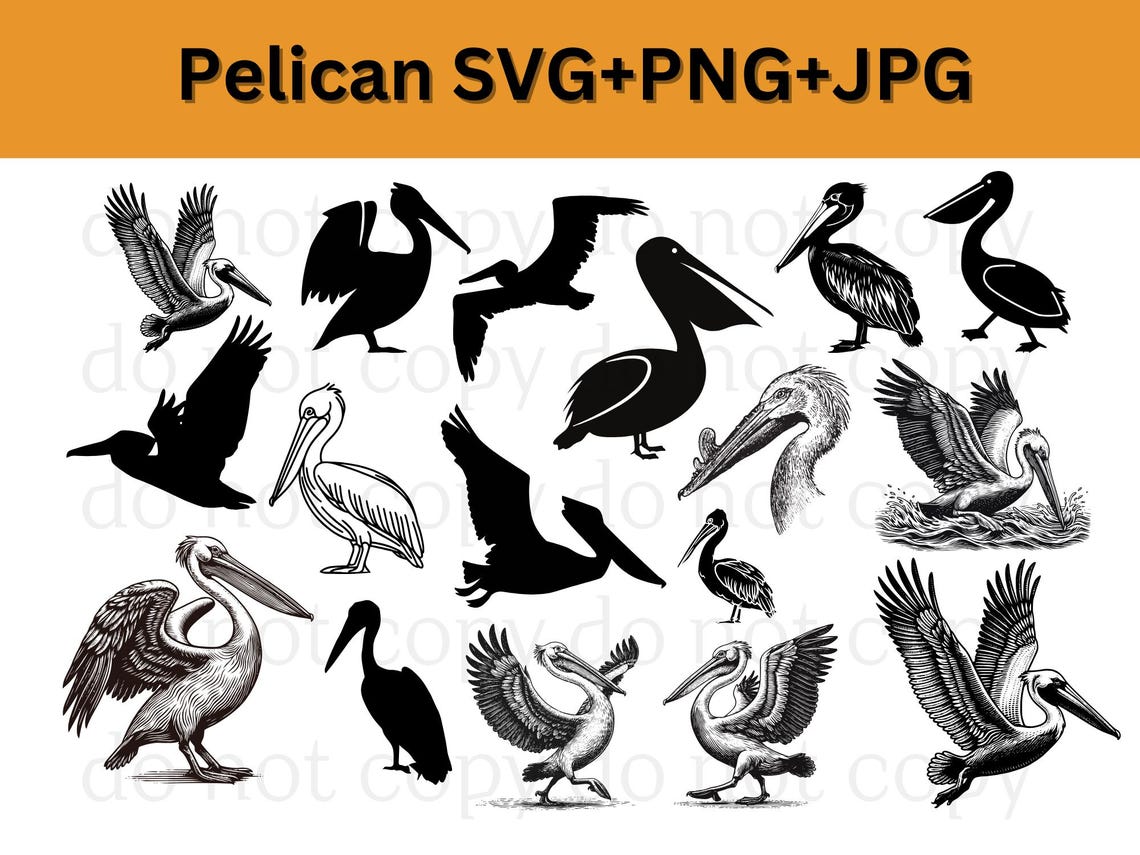 Pelican SVG Bundle - High Quality Pelican Clipart, PNG & Vector Files ...