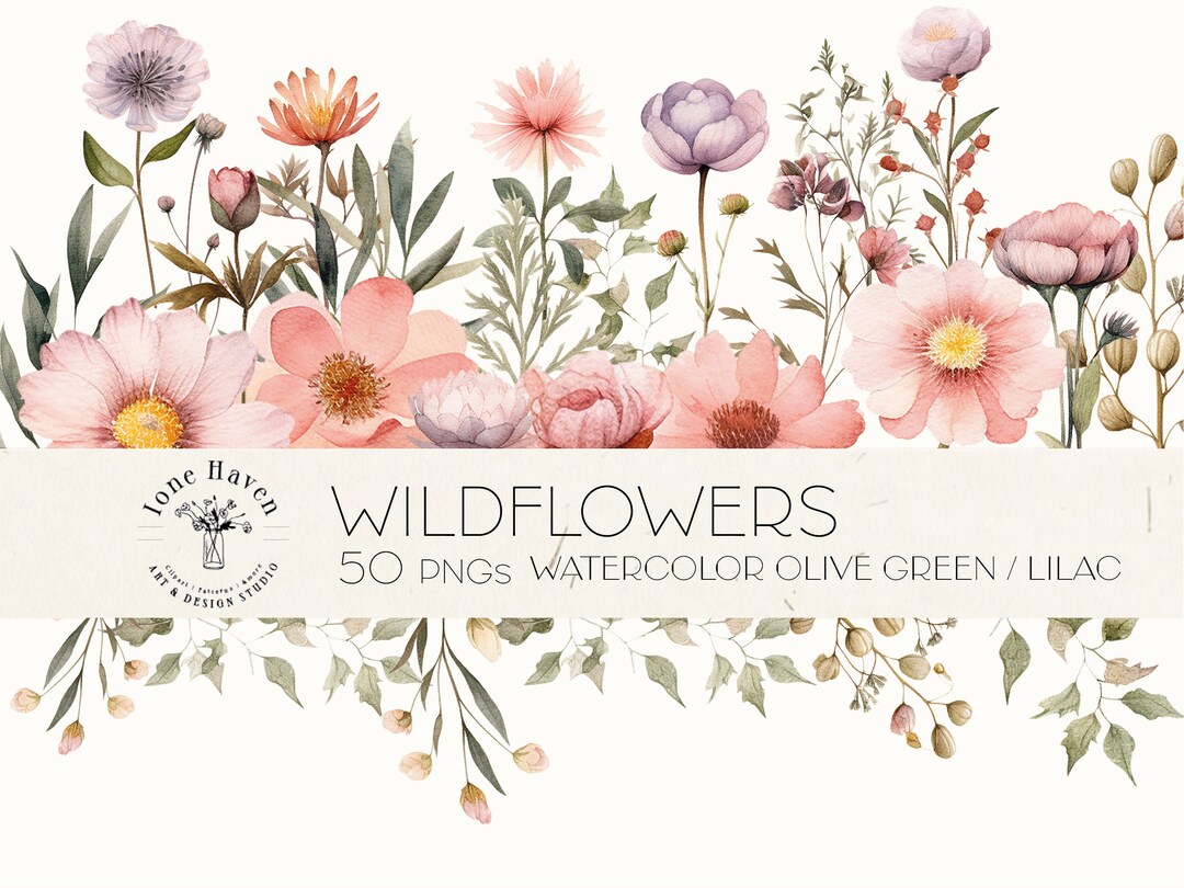 Watercolor Wildflowers PNG Transparent Background Wild Flowers Clipart ...