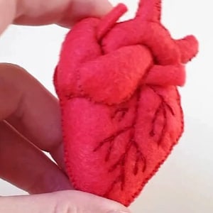 Anatomical Heart Sewing Pattern - Felt Heart Gift for Doctors, PDF ...
