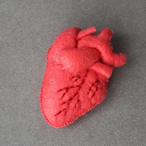 Anatomical Heart Sewing Pattern Felt Heart Gift for Doctors, PDF ...