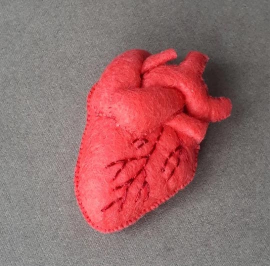 Anatomical Heart Sewing Pattern Felt Heart Gift for Doctors, PDF ...