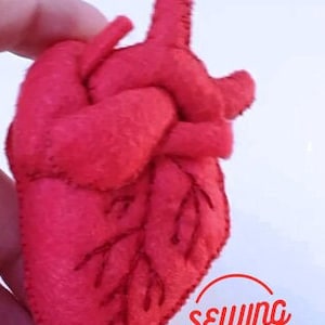 Anatomical Heart Sewing Pattern - Felt Heart Gift for Doctors, PDF ...