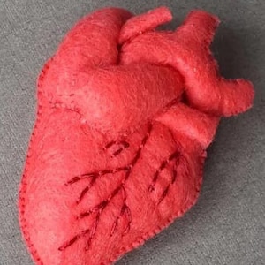 Anatomical Heart Sewing Pattern - Felt Heart Gift for Doctors, PDF ...
