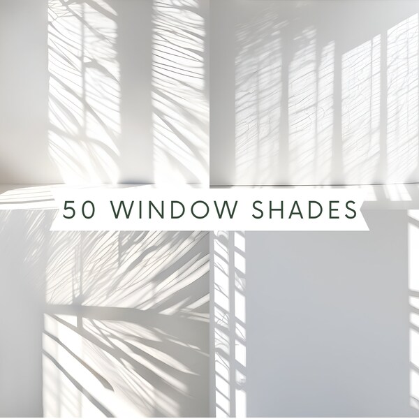 Photoshop Window Overlays - Etsy