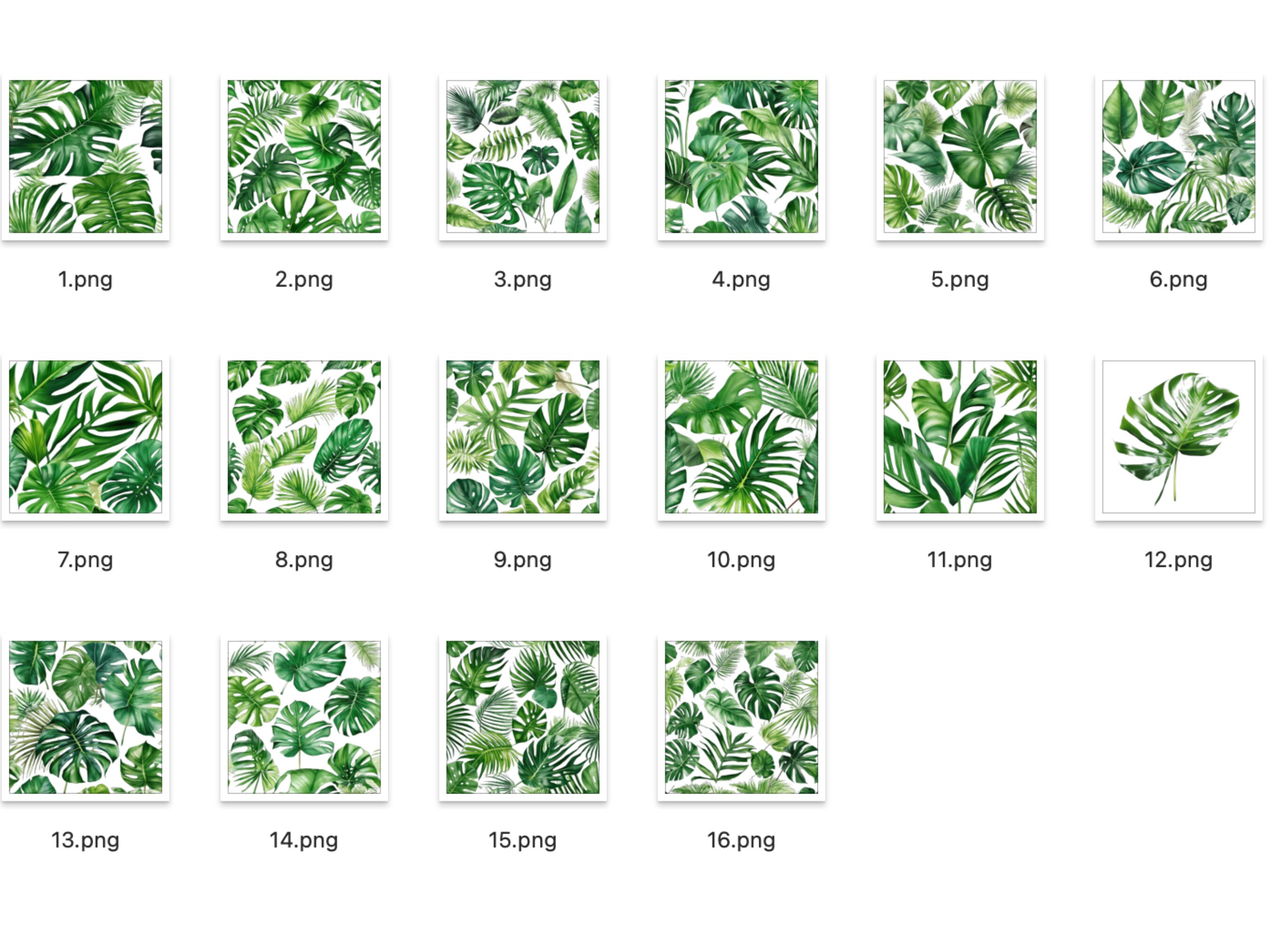 16 Tropical Leaves Digital Overlays for Photoshop Green Tropical ...