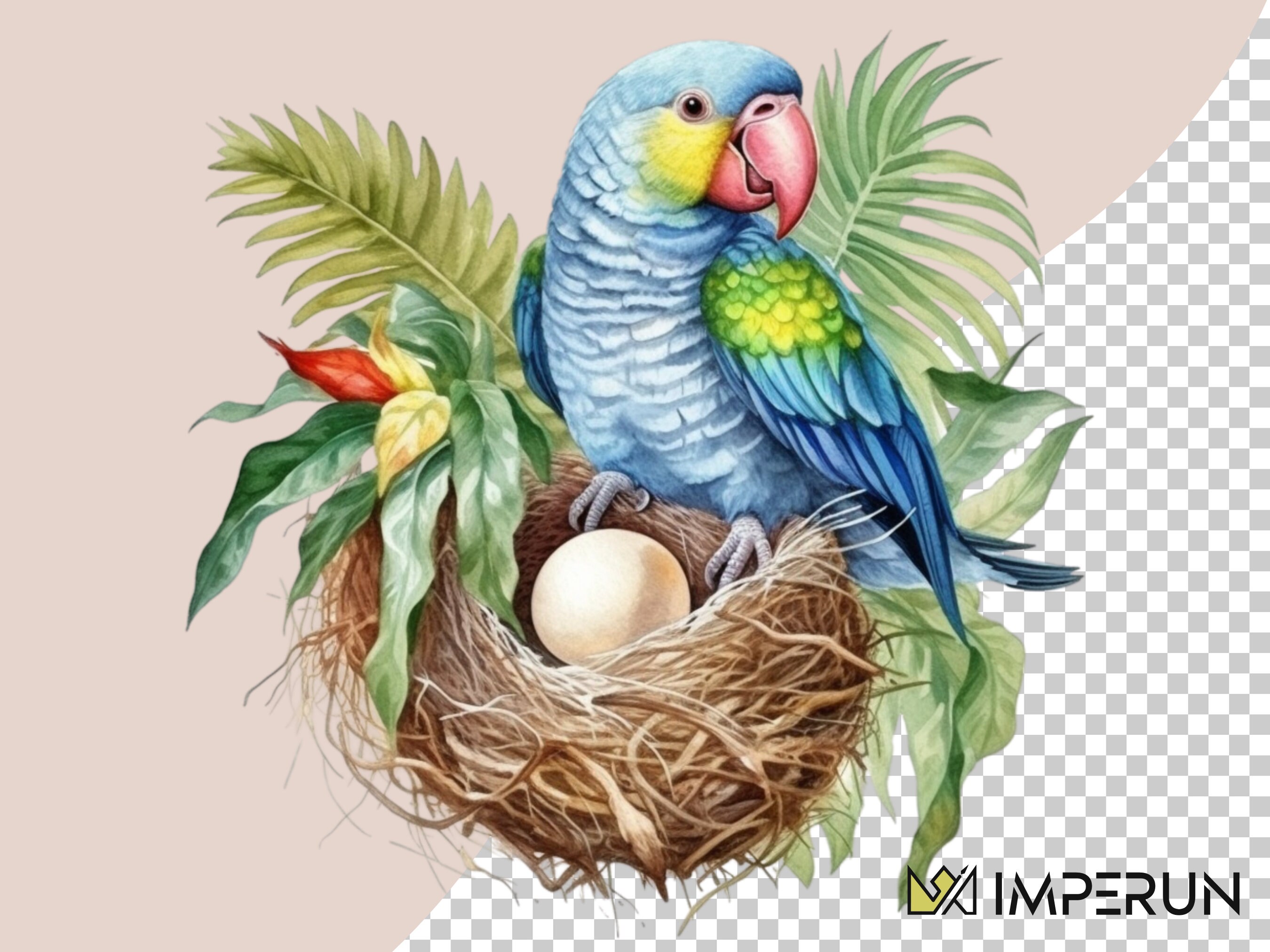 Parrot Watercolor Illustrations Set 18 PNG of Colorful - Etsy