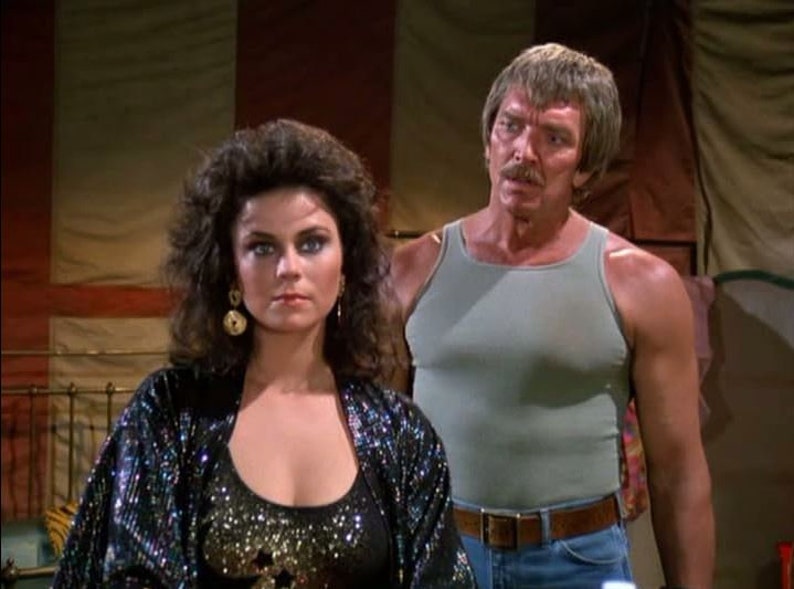 The Fall Guy TV Show Complete Series 1981-1986 All Seasons - Etsy México