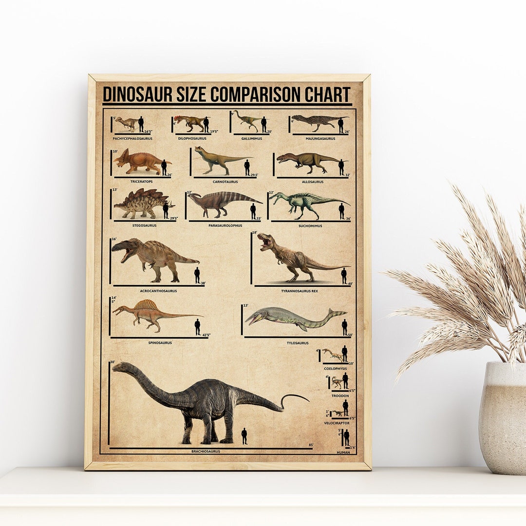 Dinosaur Size Comparison Chart Type of Dinosaur Print - Etsy Canada
