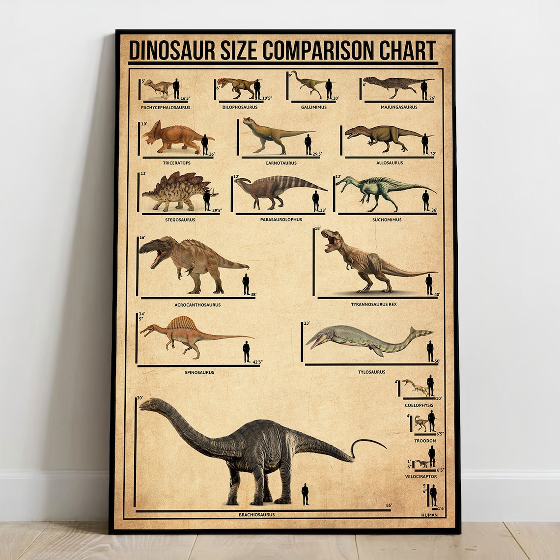 Dinosaur Size Comparison Chart Type of Dinosaur Print - Etsy Canada