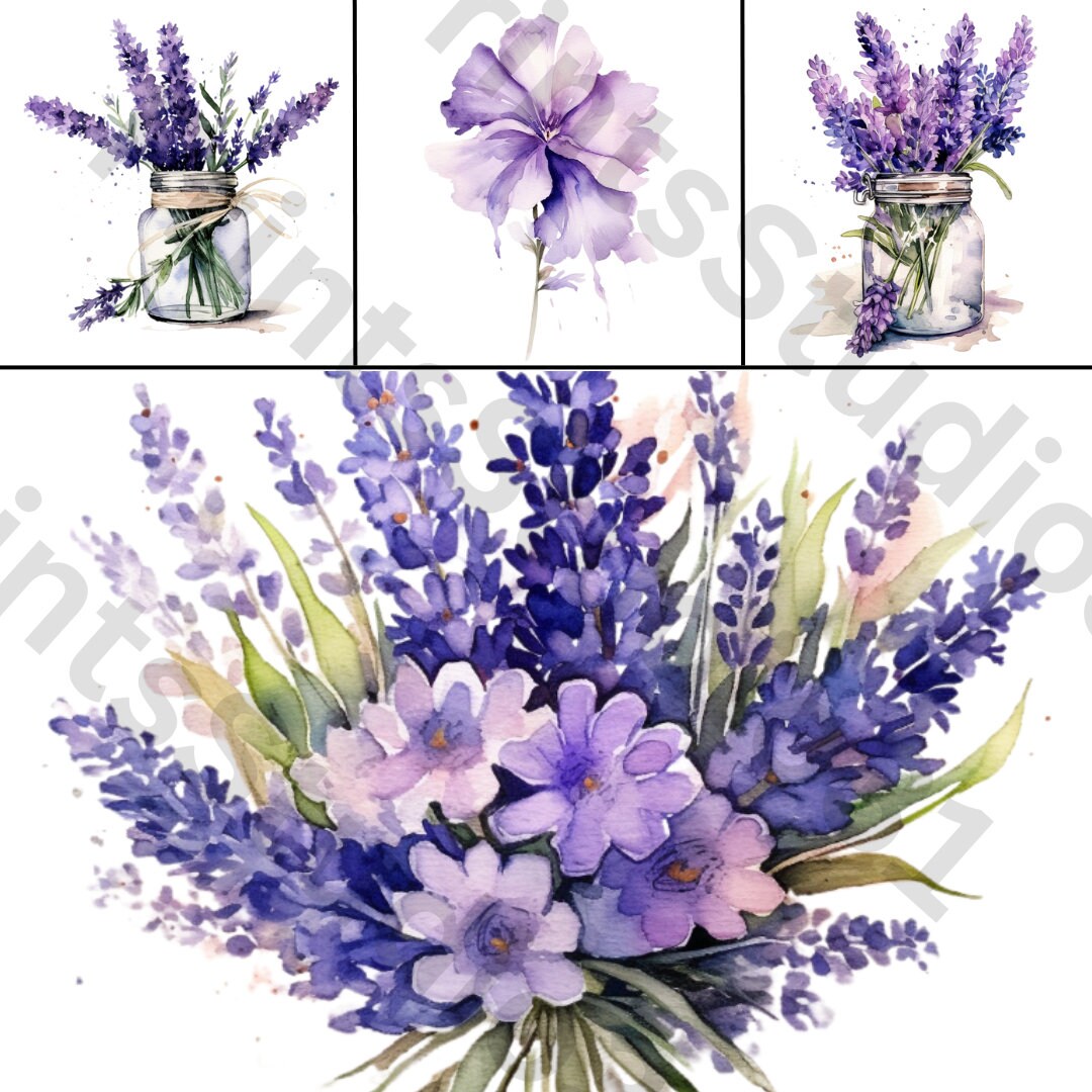 Lavender Flower Plant Clipart Watercolor PNG Wedding Digital Floral Art ...