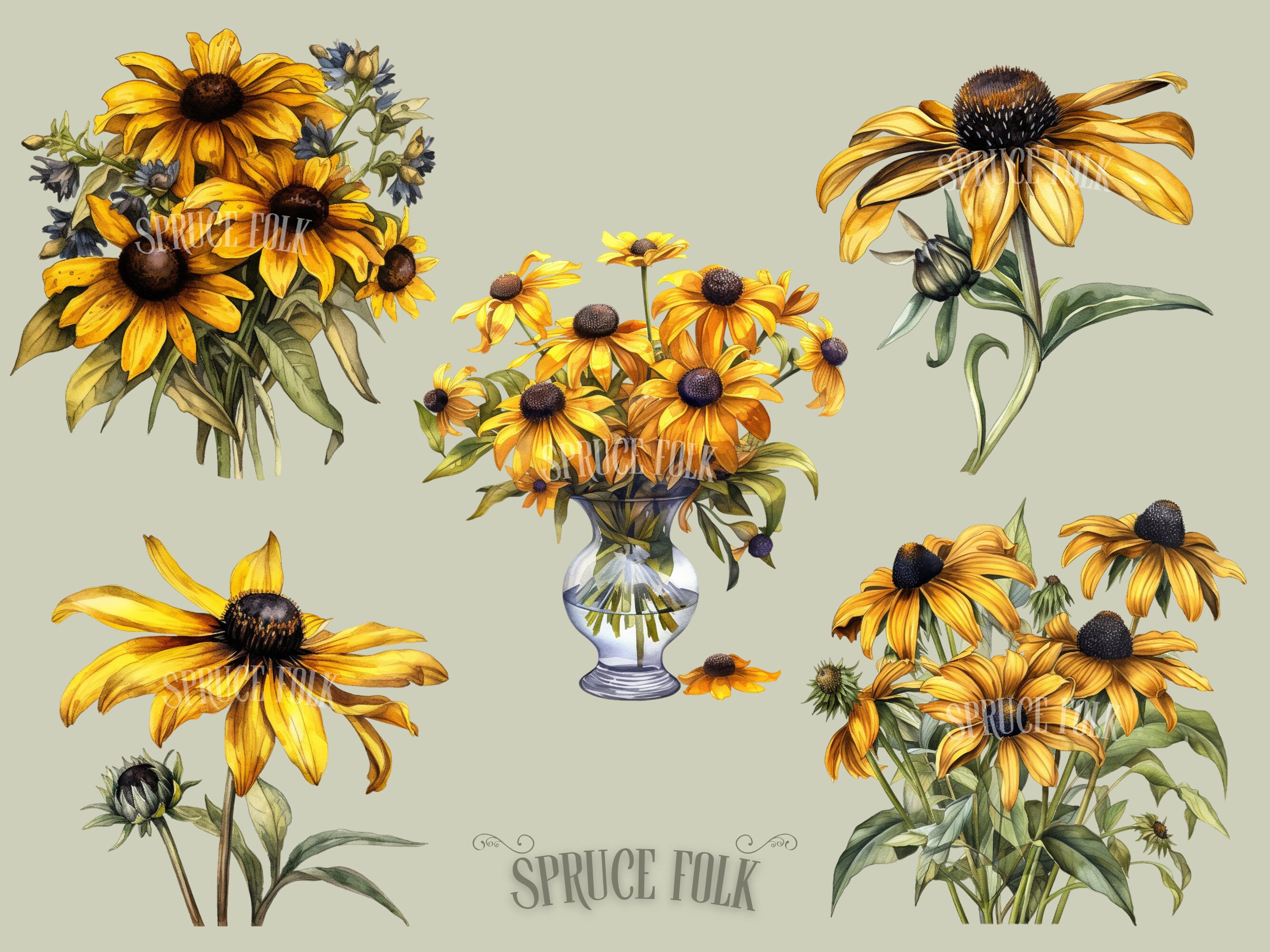 Watercolor Black Eyed Susan Flower Themed Clipart | Collection of 15 ...