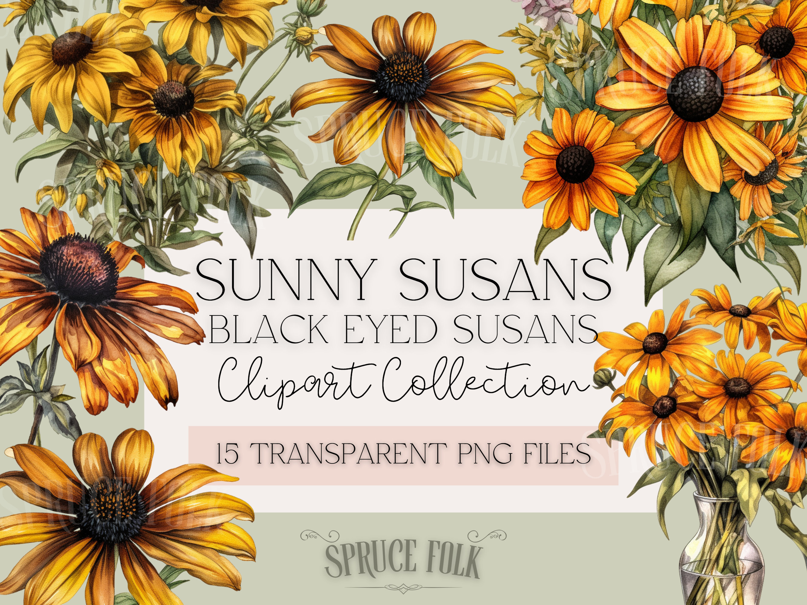 Watercolor Black Eyed Susan Flower Themed Clipart | Collection of 15 ...
