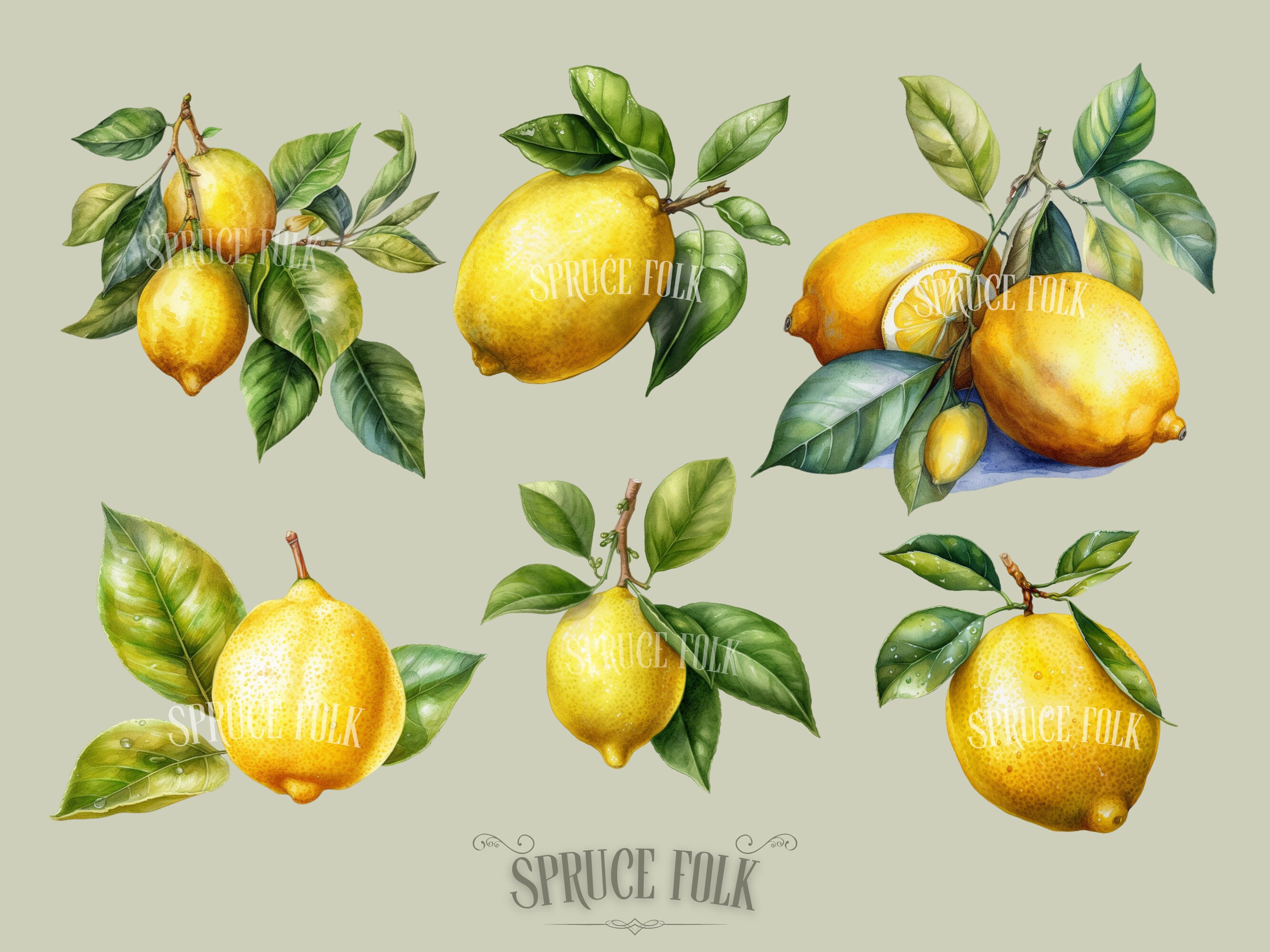 Watercolor Lemon Themed Clipart Collection of 50 Lemon Bliss Collection ...