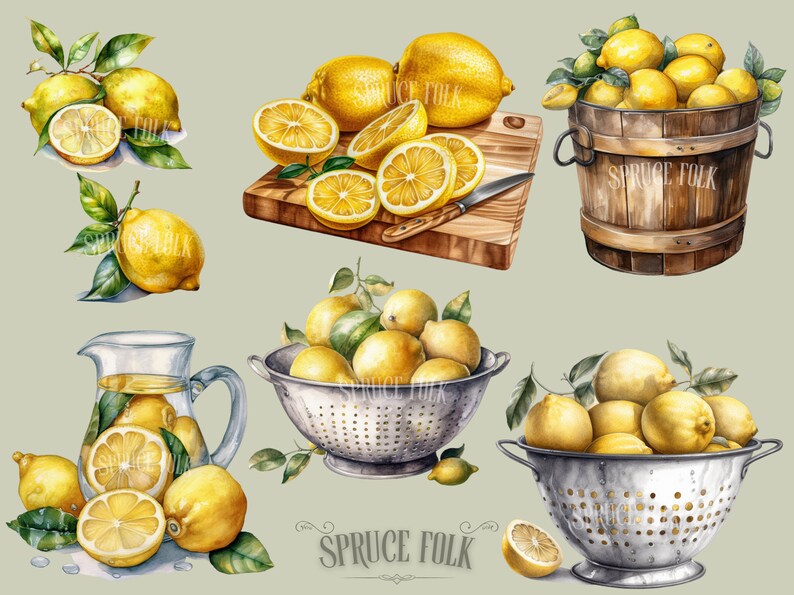 Watercolor Lemon Themed Clipart Collection of 50 Lemon Bliss Collection ...