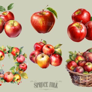 Watercolor Apple Themed Clipart | Collection of 25 | Apple of My Eye - Etsy
