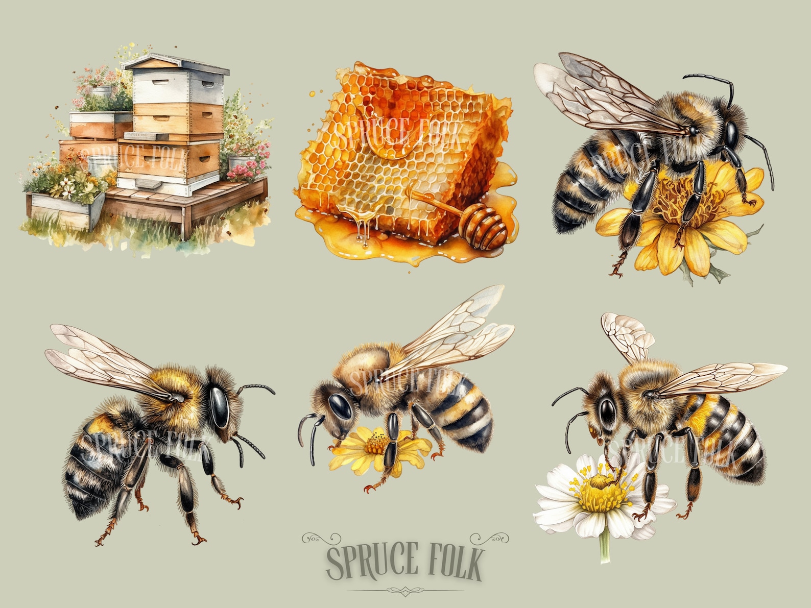 Watercolor Beekeeping & Honey Themed Clipart | Collection of 24 | the ...