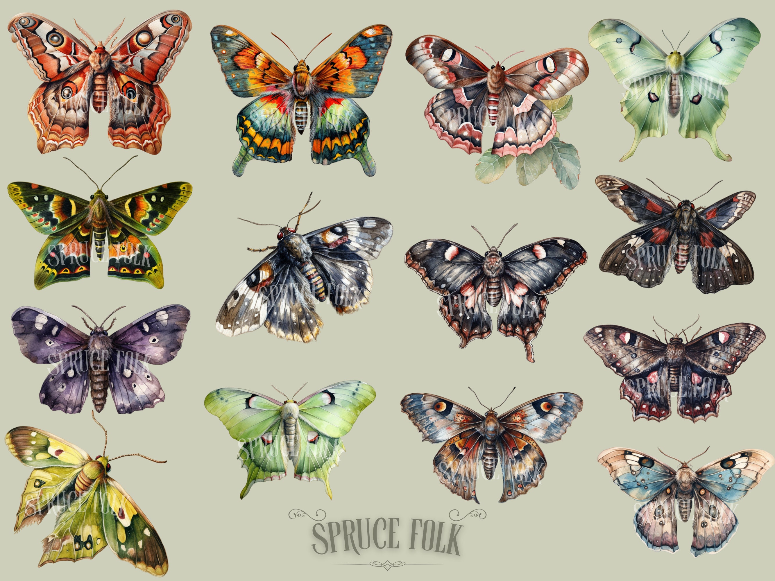 Watercolor Moth Themed Clipart | Collection of 70 | Moonlit Moths ...