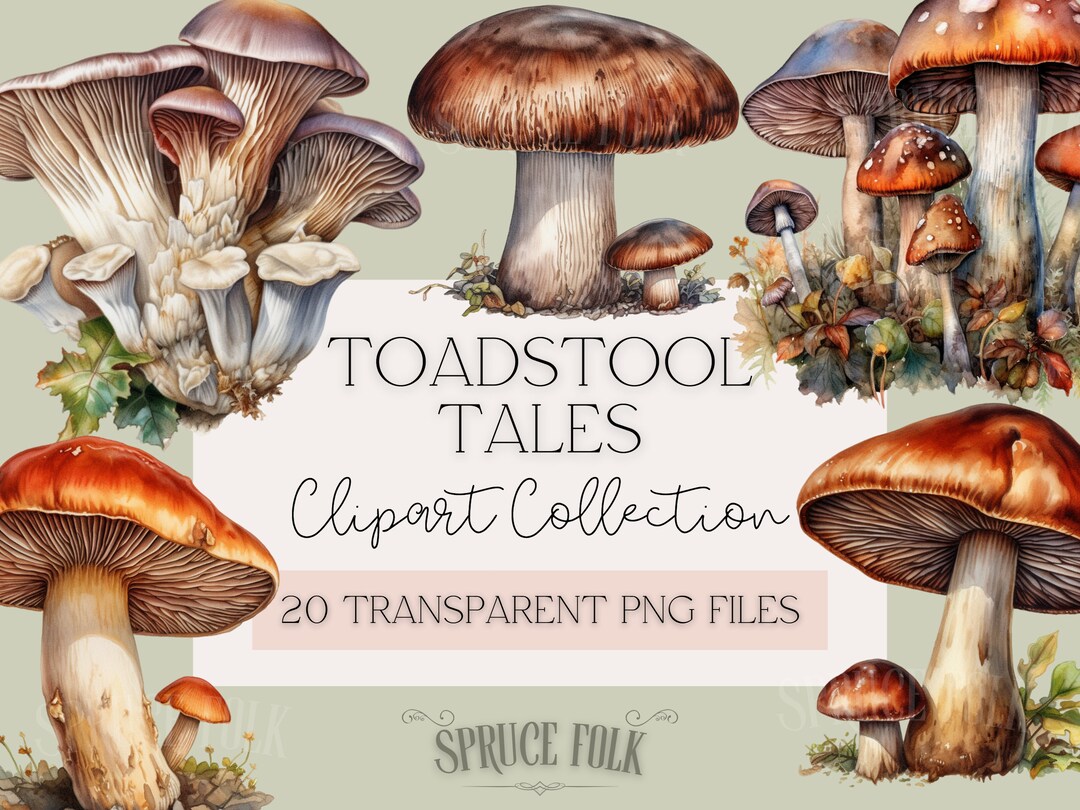 Watercolor Mushroom Themed Clipart | Collection of 20 | Toadstool Tales ...