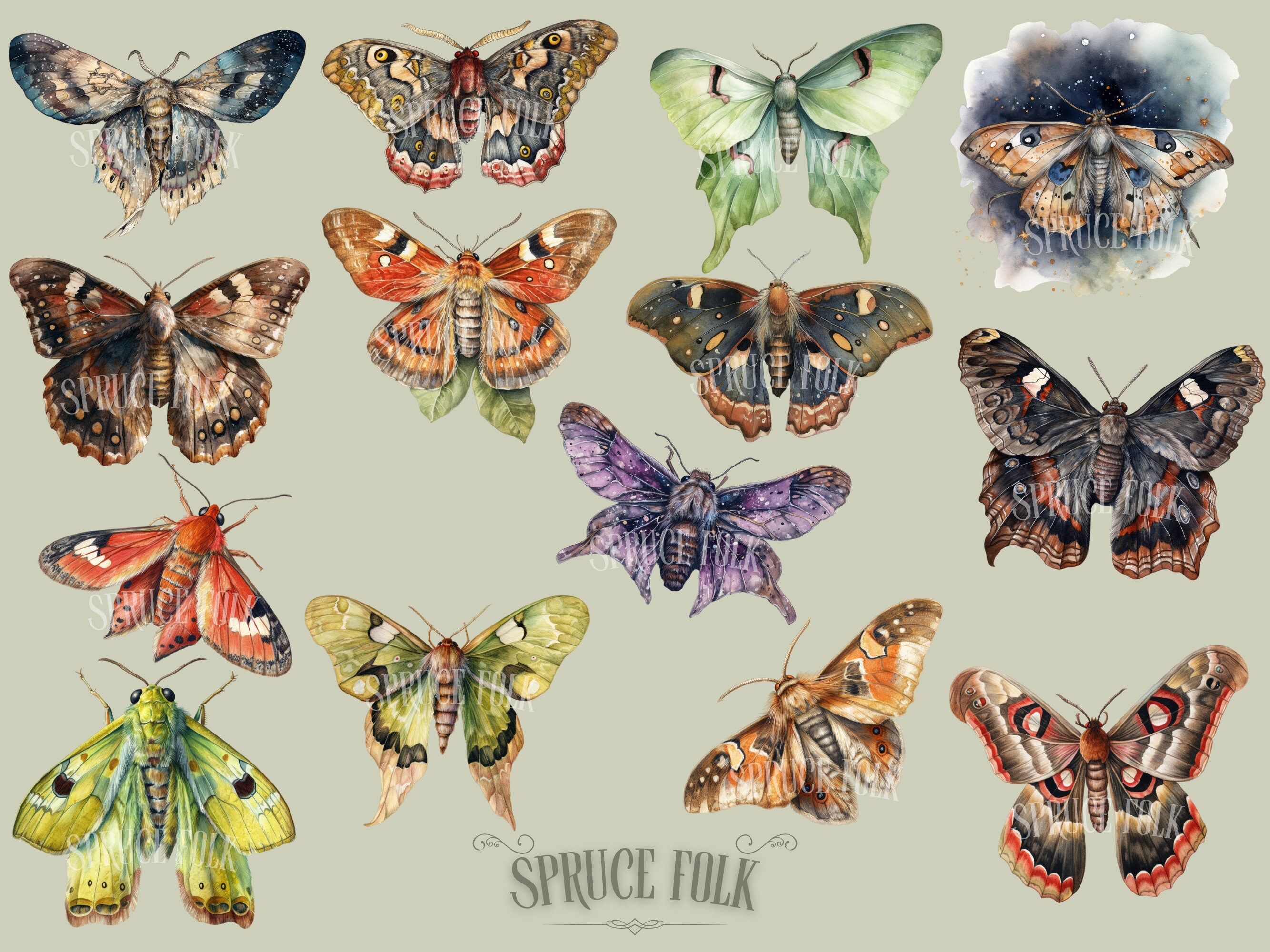 Watercolor Moth Themed Clipart Collection of 70 Moonlit Moths ...
