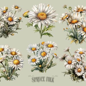 Watercolor Daisy Themed Clipart | Collection of 20 | Daisy Delight ...