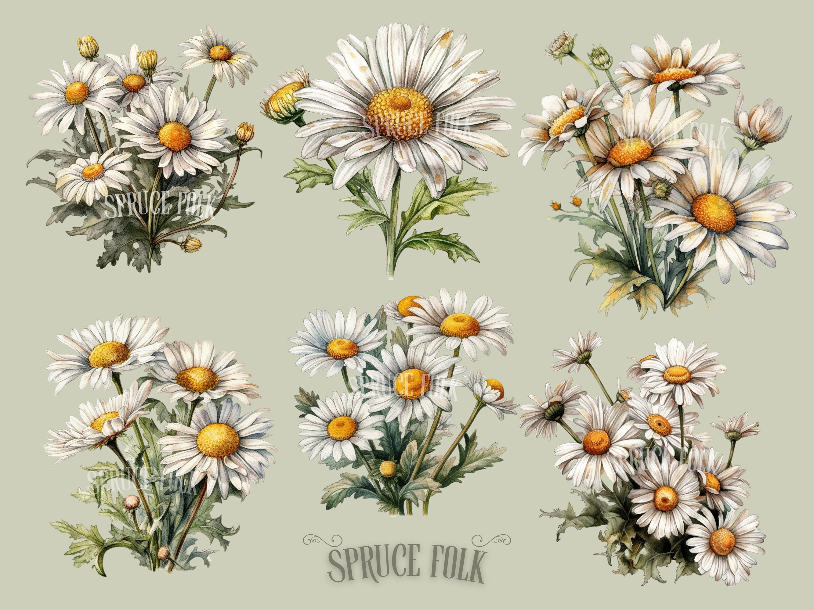 Watercolor Daisy Themed Clipart | Collection of 20 | Daisy Delight ...
